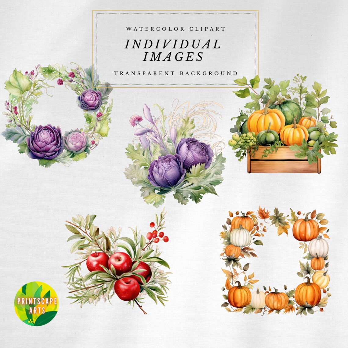 Autumn Harvest Clipart Fall Watercolor Clipart Autumn - Etsy