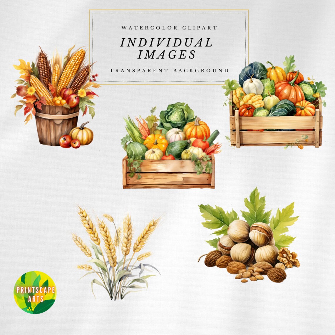 Autumn Harvest Clipart Fall Watercolor Clipart Autumn - Etsy