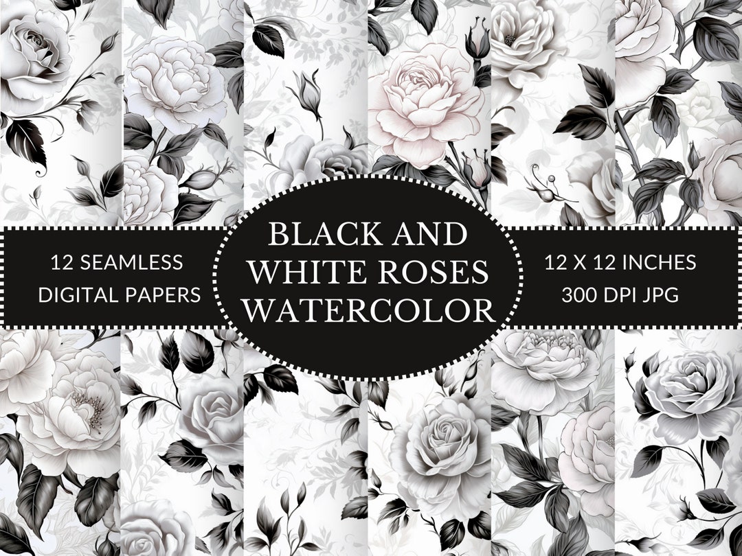 Watercolor Black and White Roses Digital Paper Pack (digital Download ...