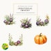 Autumn Harvest Clipart Fall Watercolor Clipart Autumn - Etsy