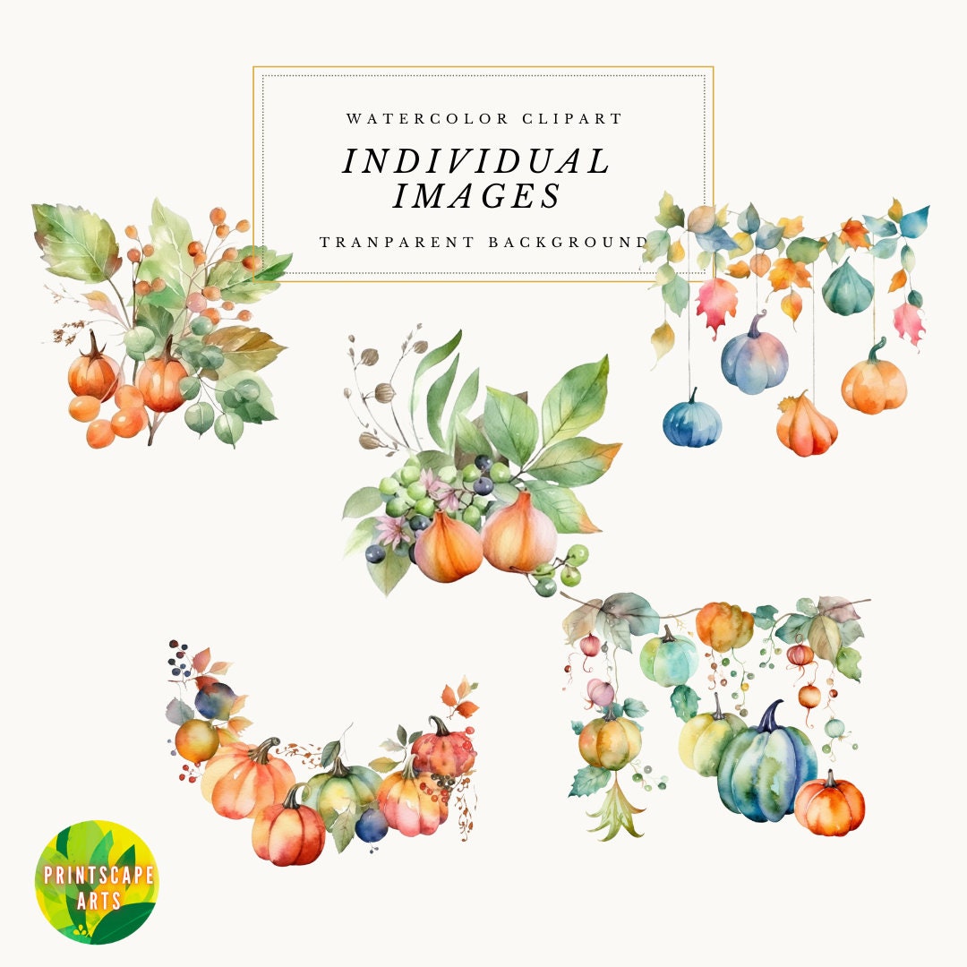 Watercolor Pumpkin Clipart: Autumn Fall PNG Images (digital Download ...