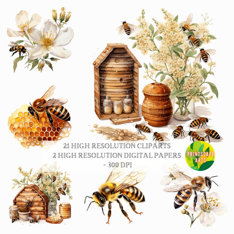 Vintage Bee Clipart Set - Artful Graphics and Honeycomb Designs ...