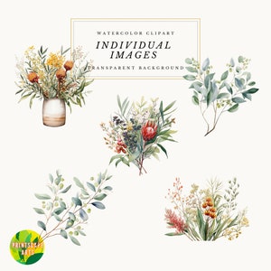 Eucalyptus Watercolor Clipart: Floral Leaf PNG Elements (digital ...