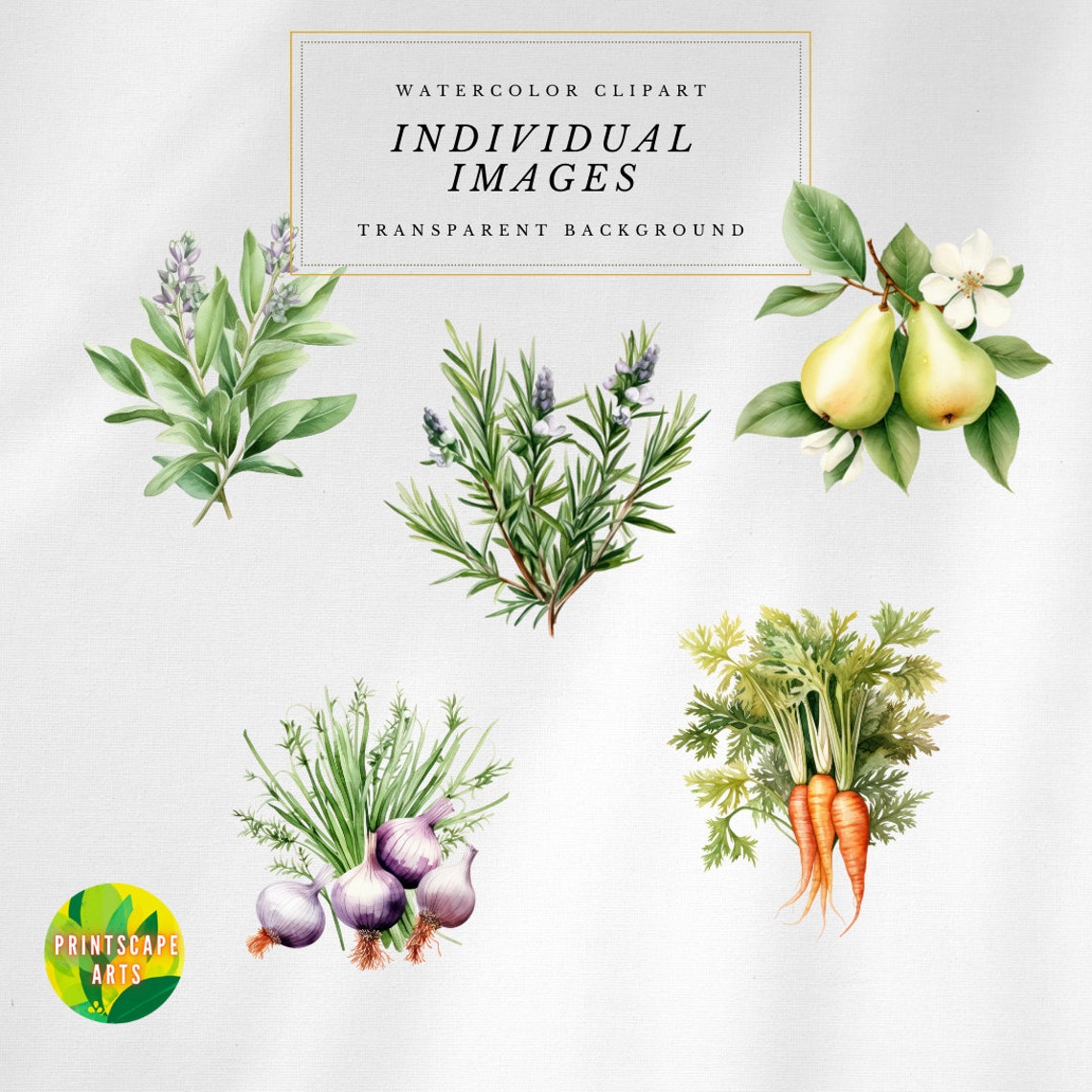 Autumn Harvest Clipart Fall Watercolor Clipart Autumn - Etsy