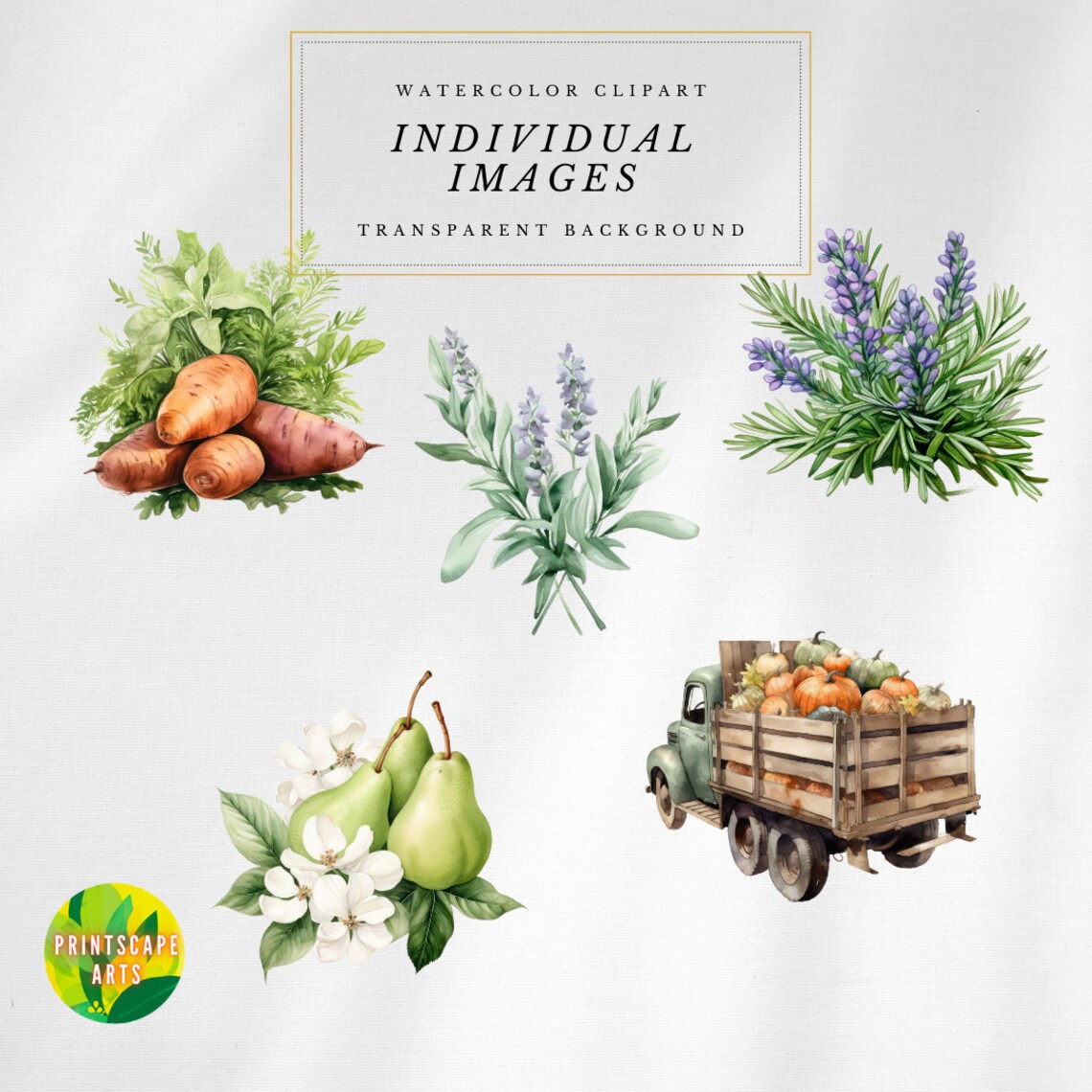 Autumn Harvest Clipart Fall Watercolor Clipart Autumn - Etsy