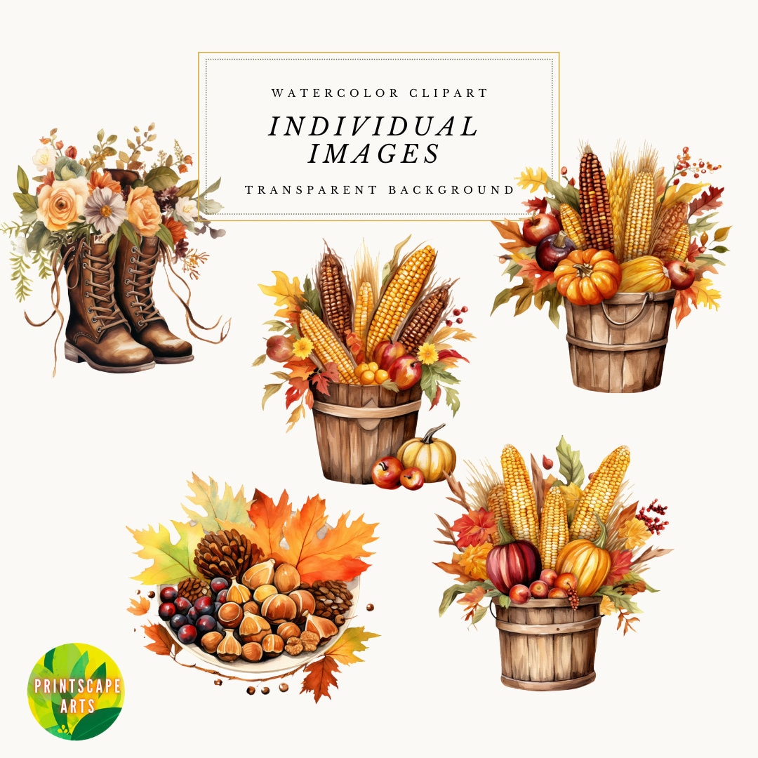 Vibrant Rustic Watercolor Autumn Clipart Collection Fall - Etsy