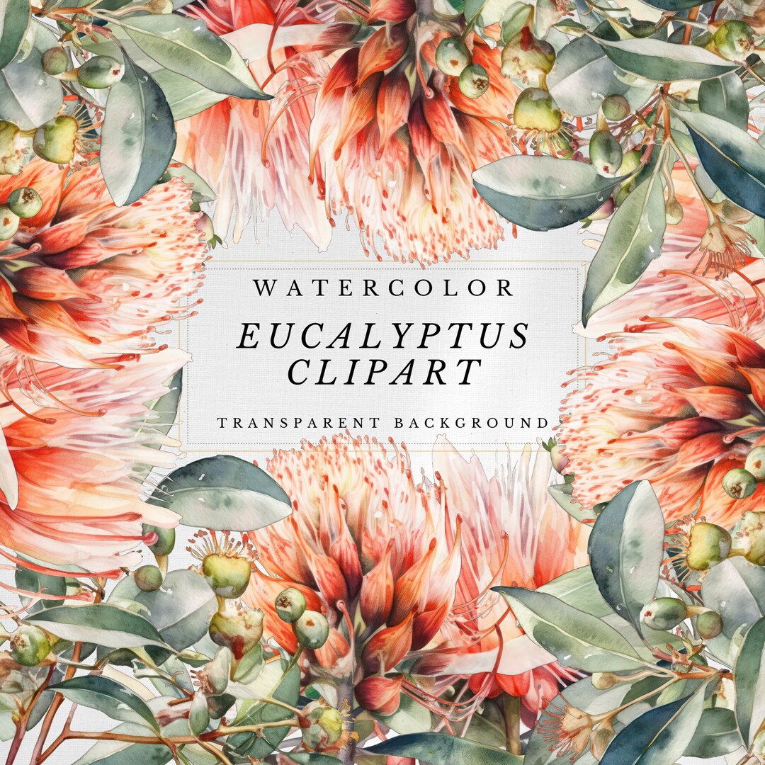 Watercolor Eucalyptus Clipart: Borders, Wreaths, Leaves (digital ...