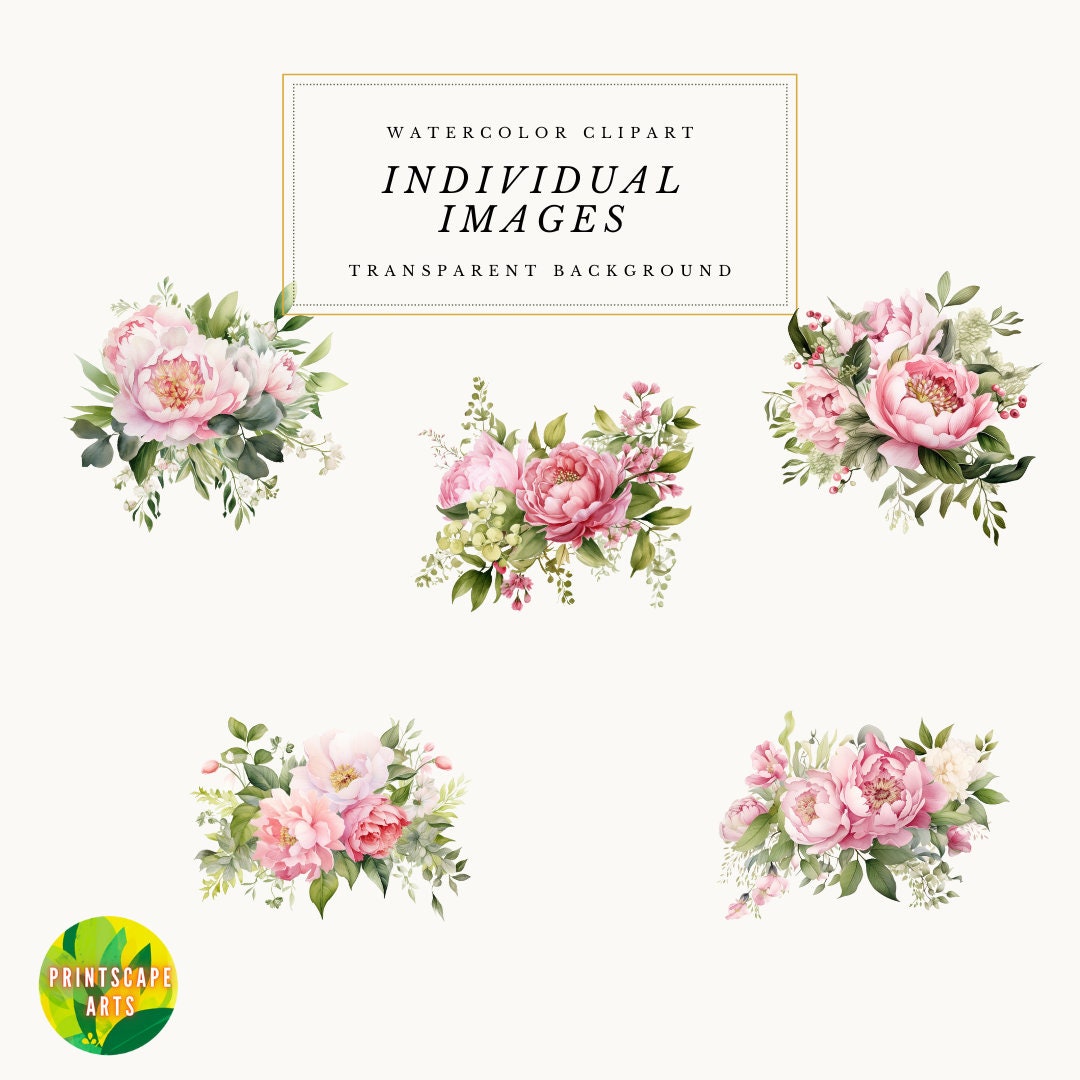Watercolor Pink Peony Clipart Peonies in Pink Pale and Blush - Etsy