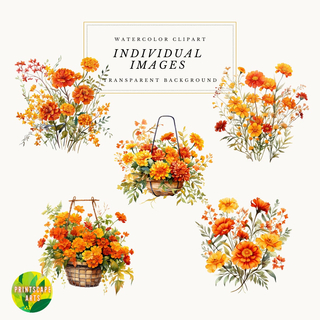 Autumn Floral Clipart Fall Watercolor Clipart Autumn - Etsy