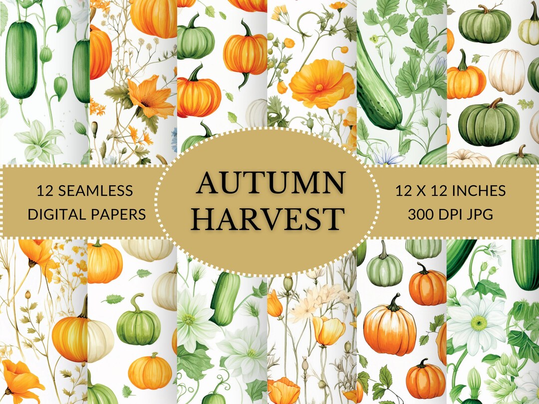 Whimsical Autumn Harvest Digital Paper - Pumpkins, Pumpkin Flowers ...