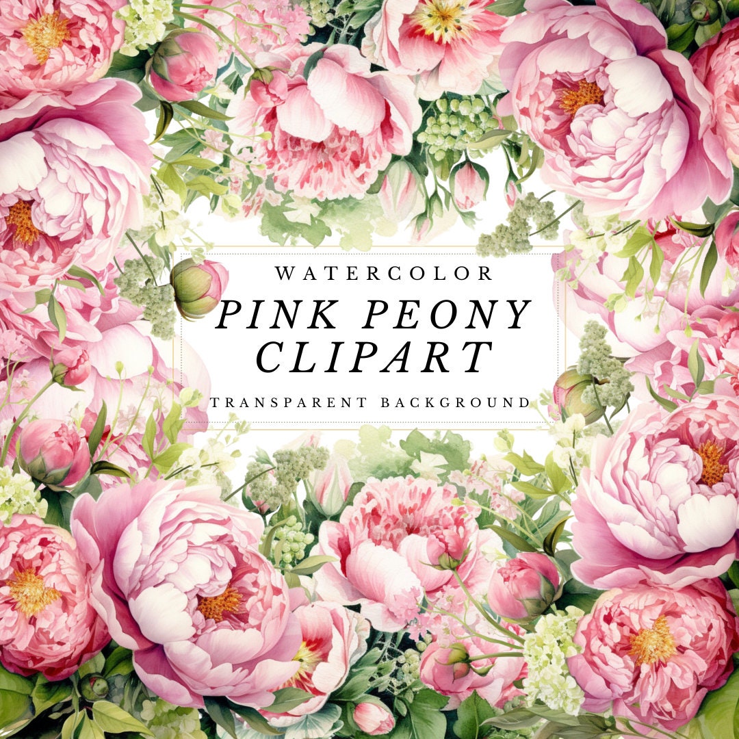 Watercolor Pink Peony Clipart, Peonies in Pink, Pale and Blush Pink ...