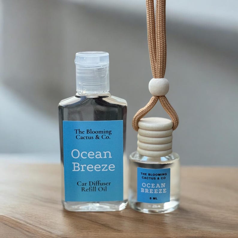 Car Diffuser With Refill Included | Car Scented on the Go | FREE ...