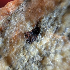 585ct - Ruby "medusa's Maze" Gemstone Core Hidden Amongst Foliated ...