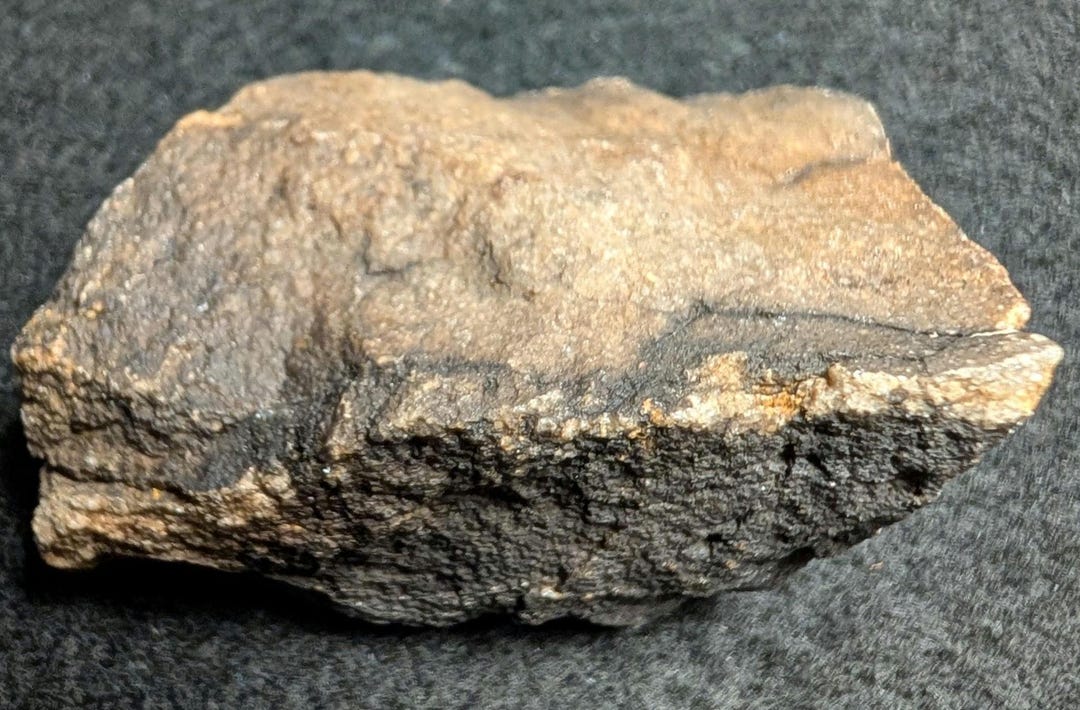 300ct - Stony Meteorite With Fusion Crust - Etsy