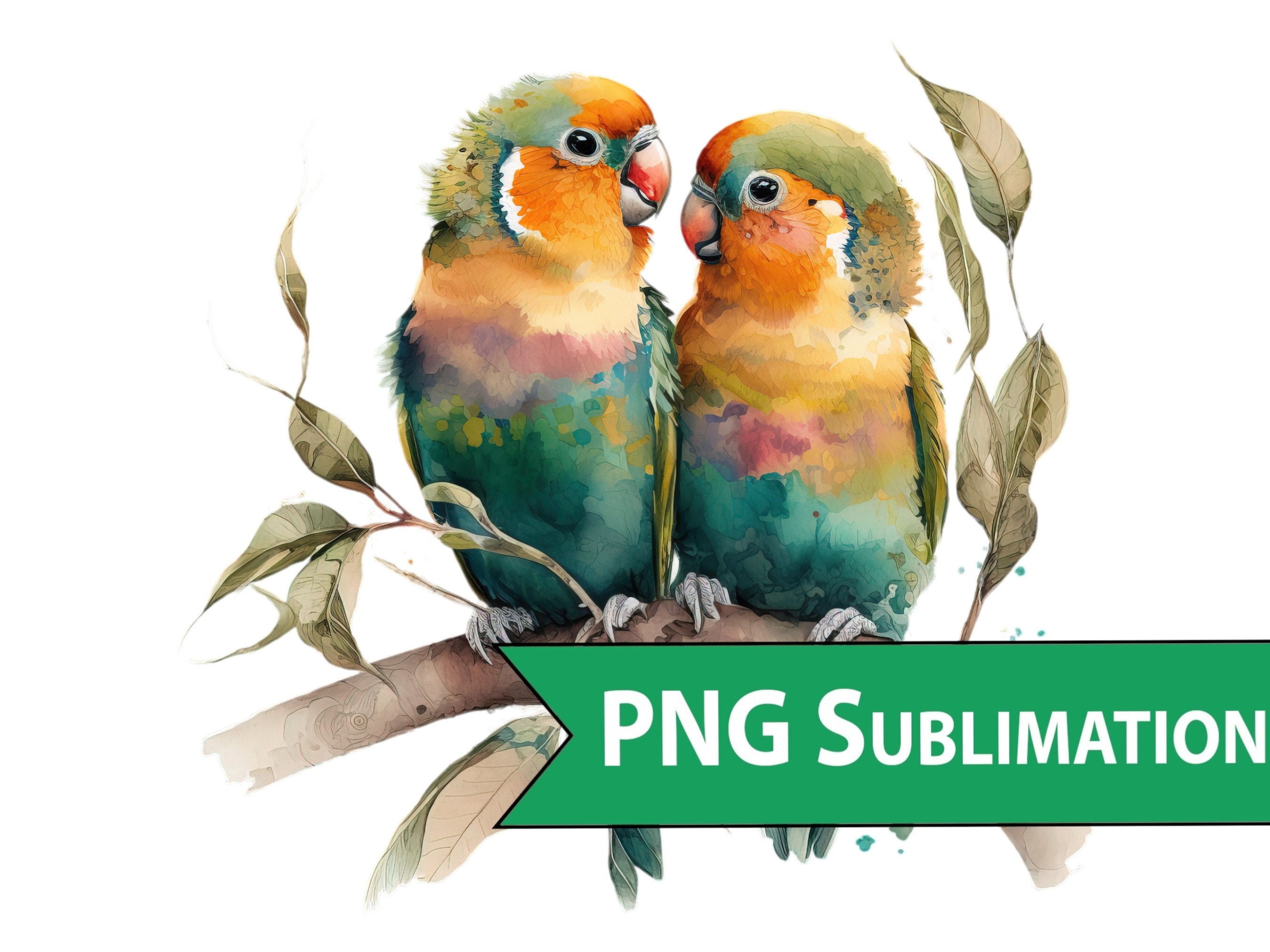 Watercolor Clipart Lovebirds Digital Paper Crafting Clipart - Etsy