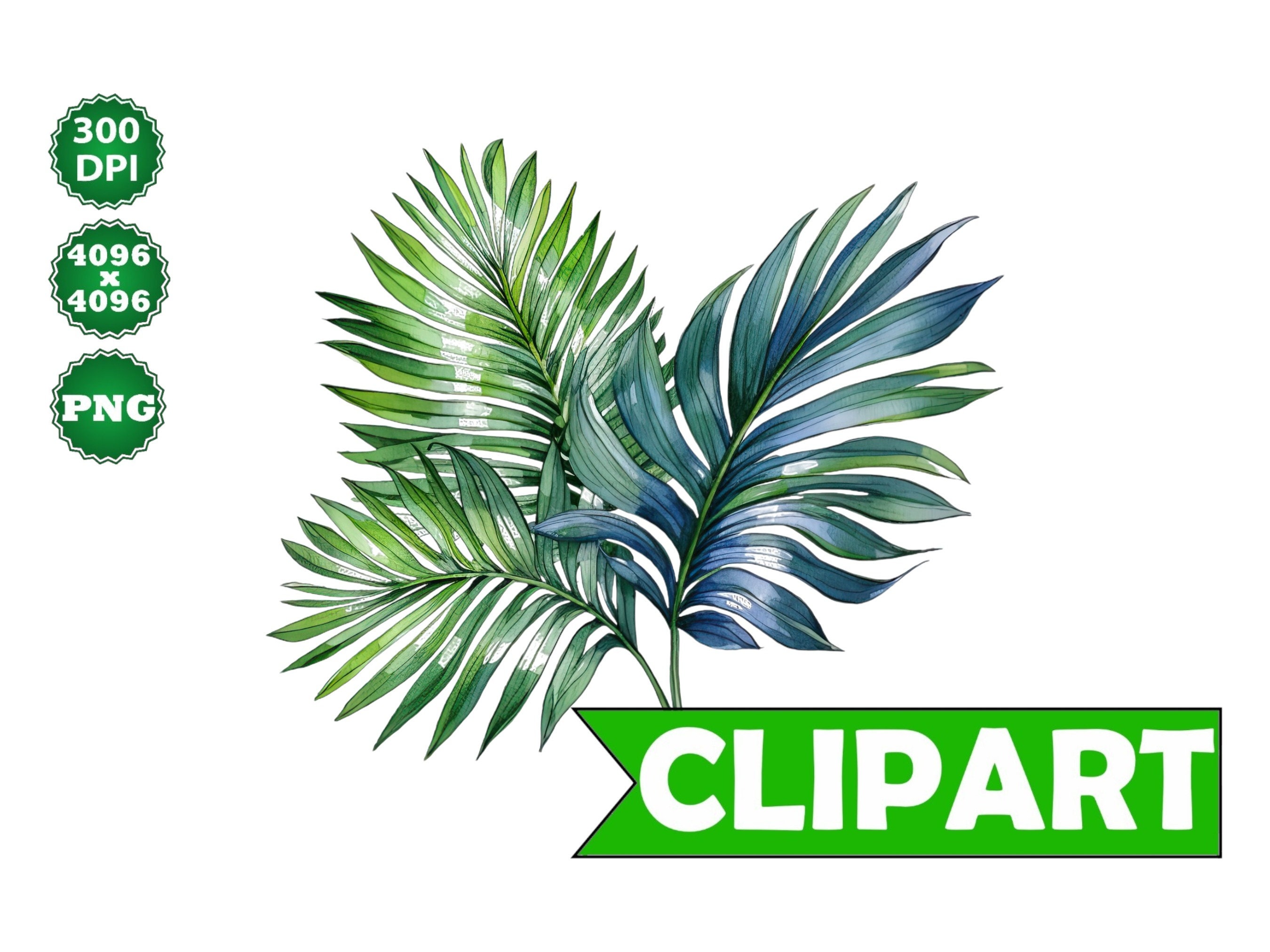Watercolor Clipart Tropical Palm Tree Leaves Card Making - Etsy