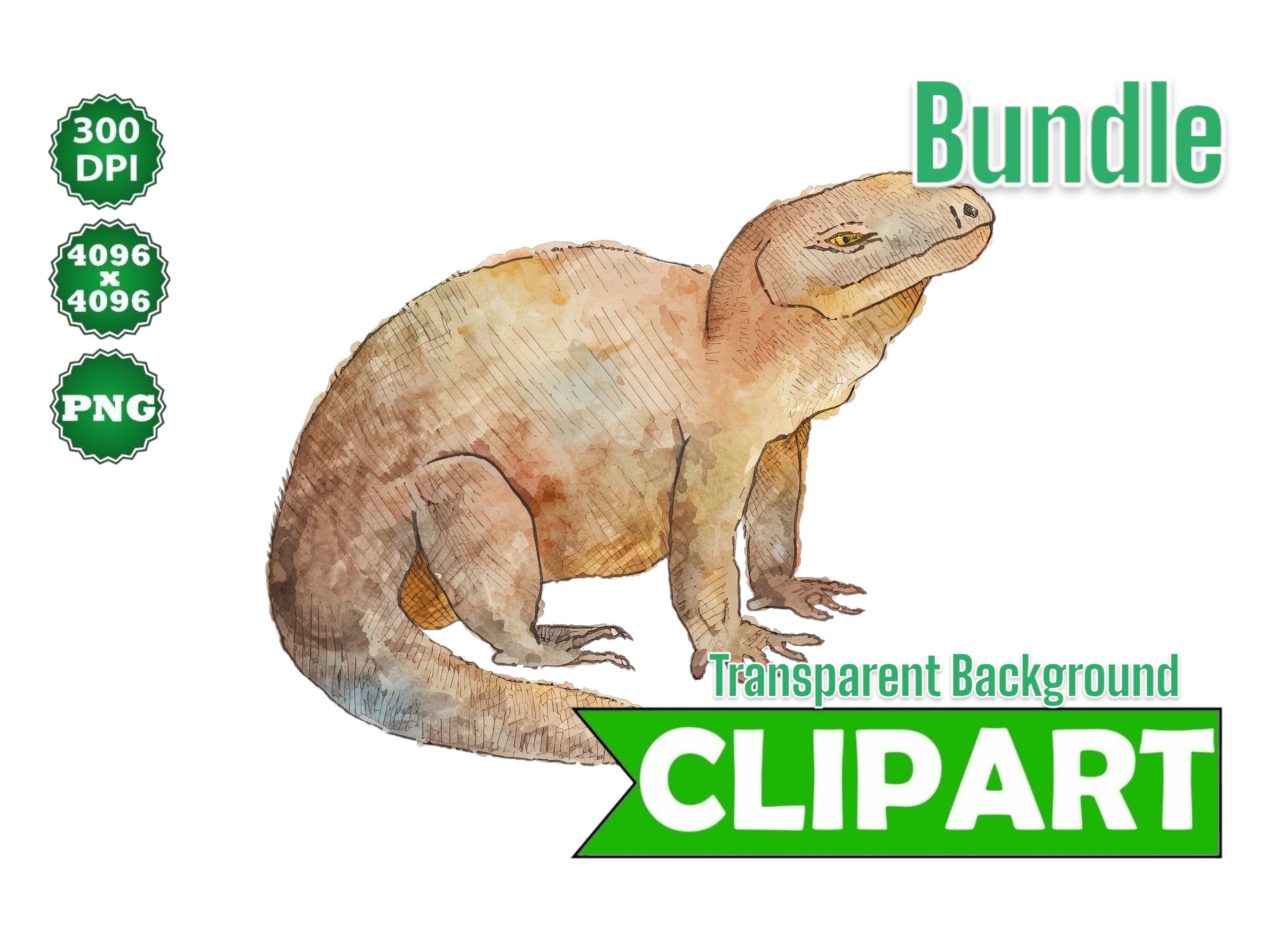 Watercolor Clipart Komodo Dragon Digital Paper Craft Scrap - Etsy