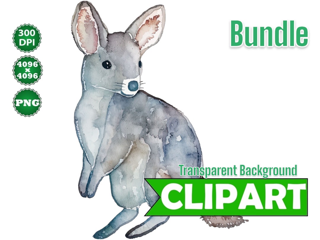 Watercolor Clipart Wallaby Digital Paper Craft Scrap Books - Etsy