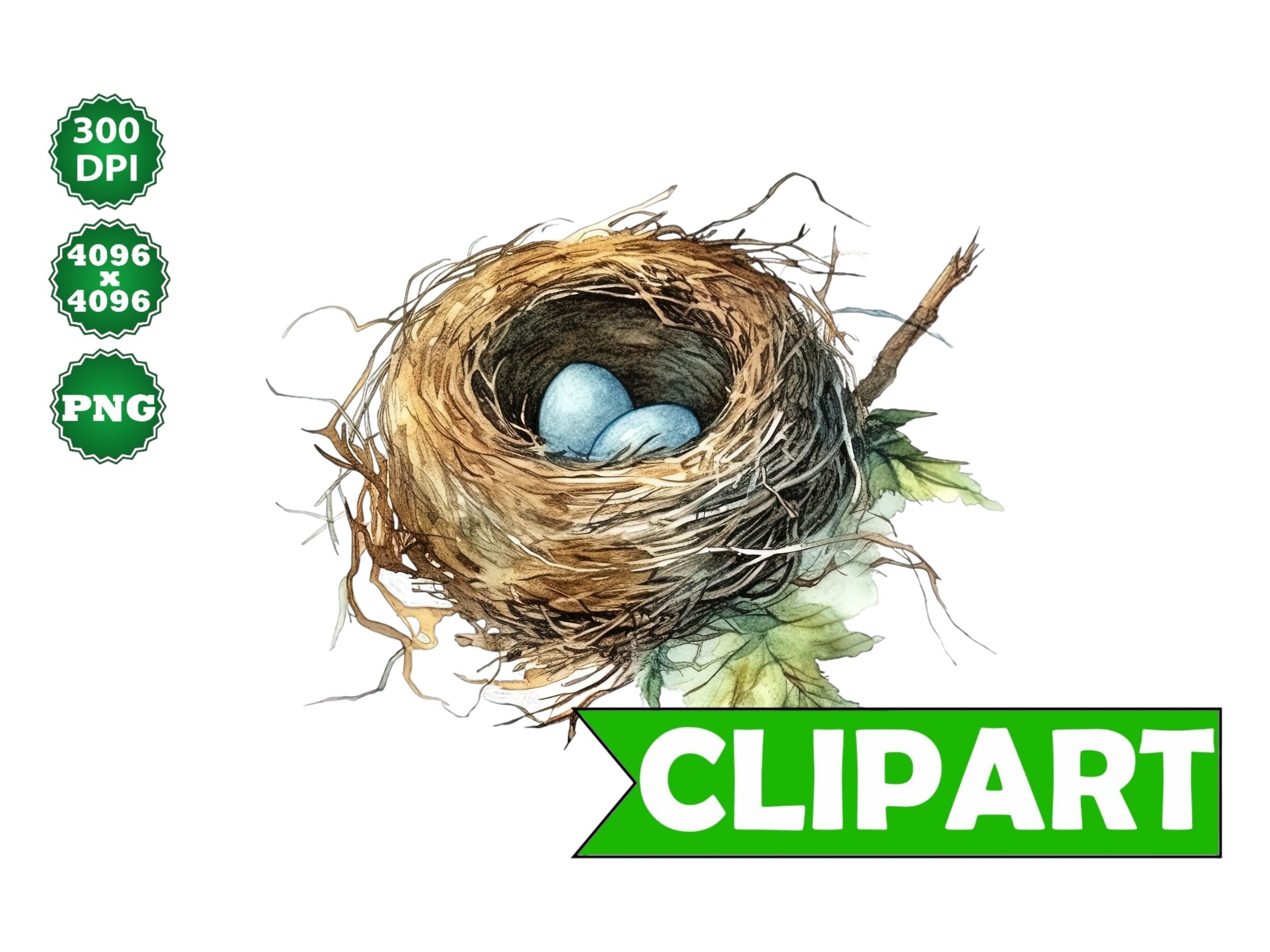 Watercolor Clipart Charming Birds Nest Card Making Junk - Etsy