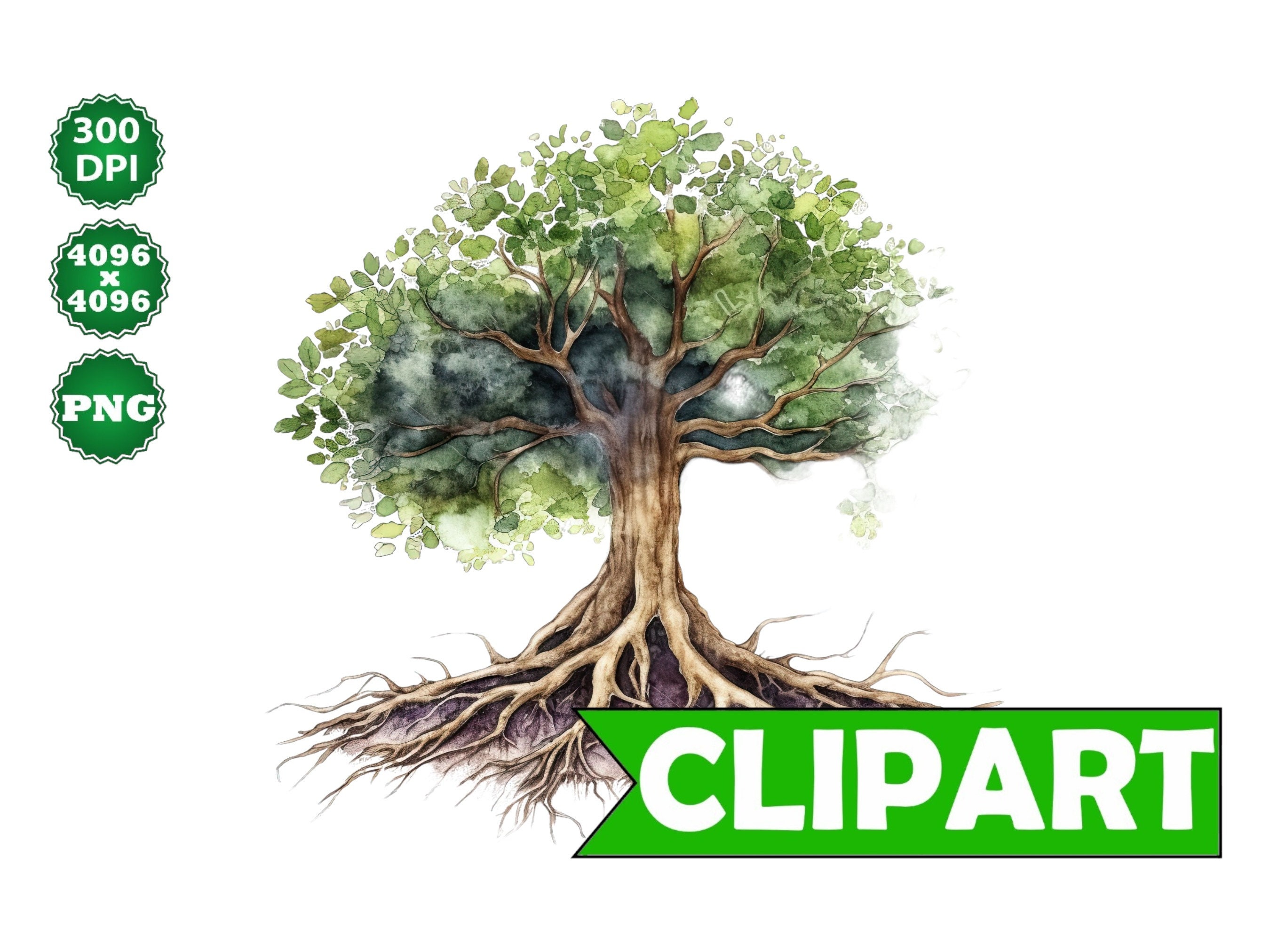 Watercolor Clipart Tree With Roots Card Making Junk - Etsy