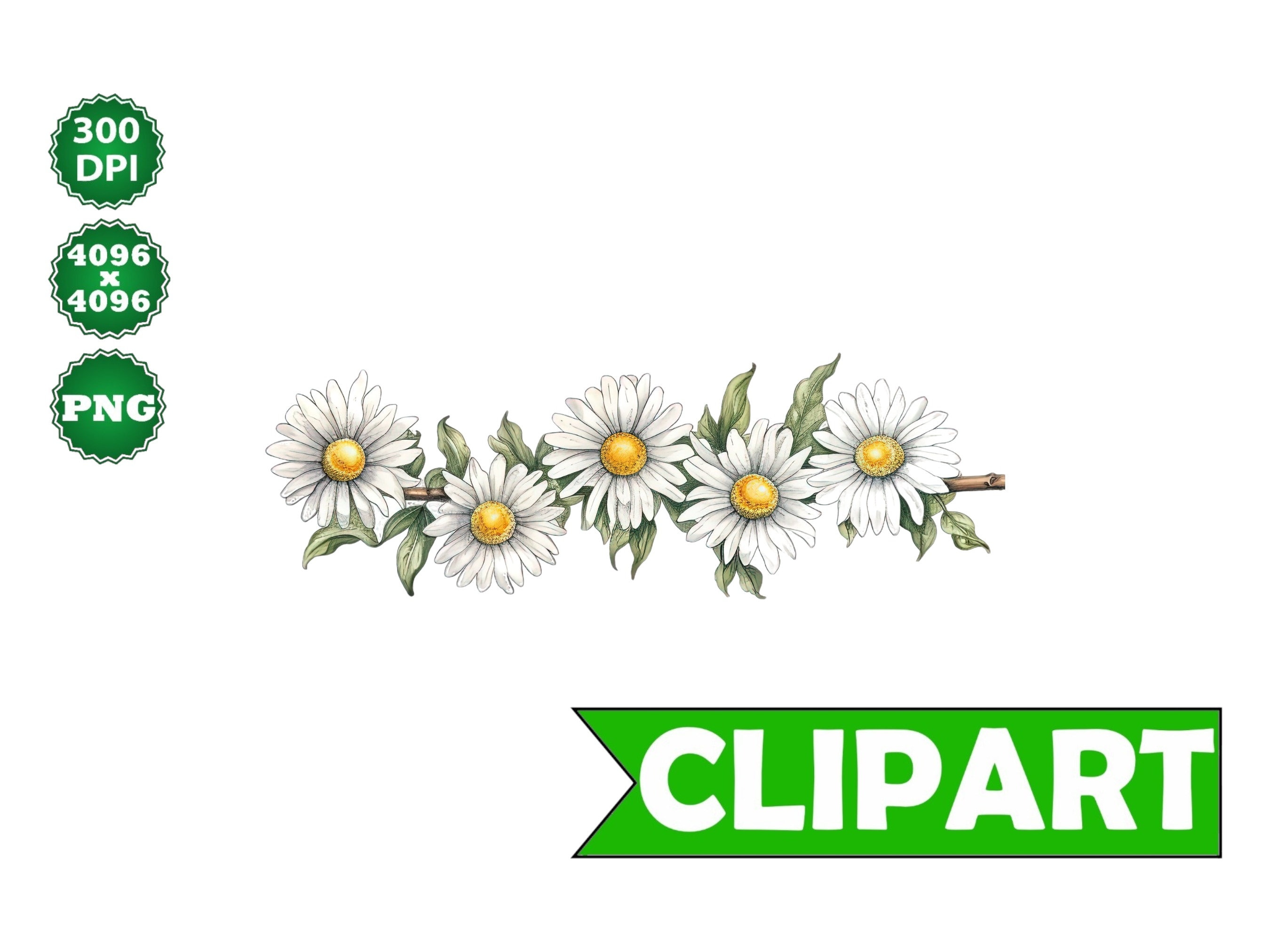 Daisy Chain Border Clip Art