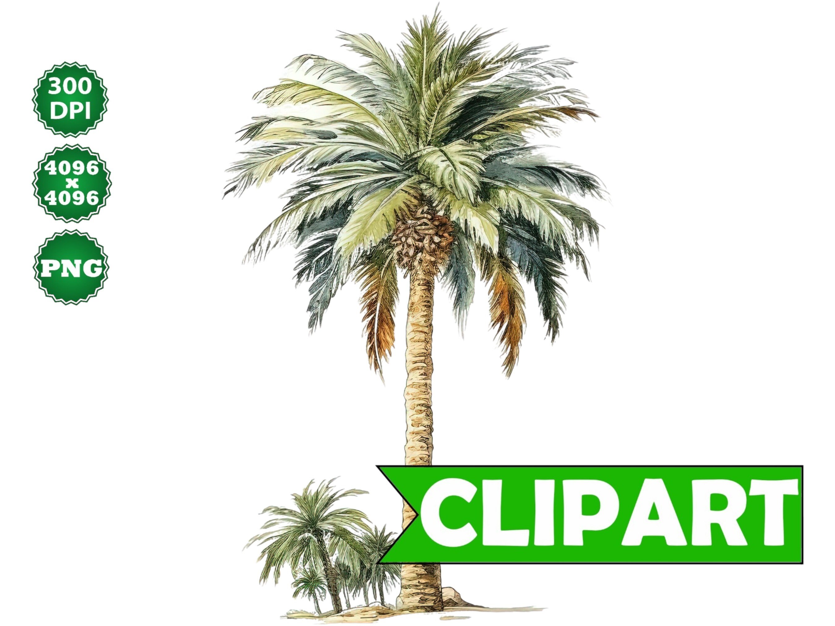 Watercolor Clipart Bold Palm Tree Card Making Junk Journal - Etsy