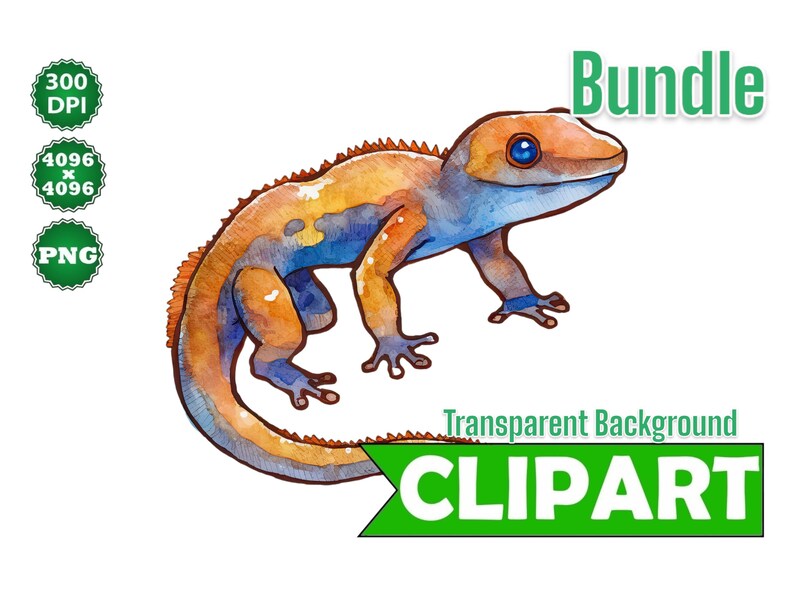 Watercolor Clipart Eastern Newt Digital Paper Craft Scrap - Etsy