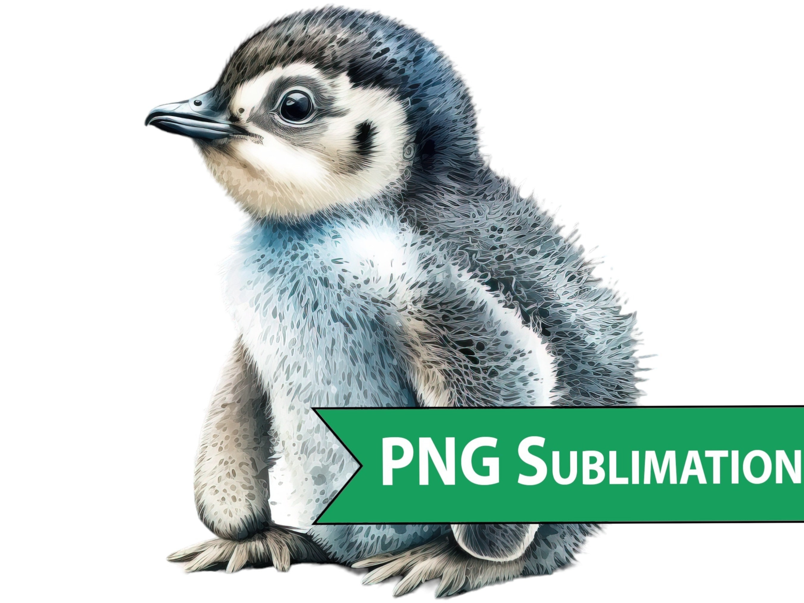 Watercolor Clipart Baby Penguin Scrap Books Digital Paper - Etsy