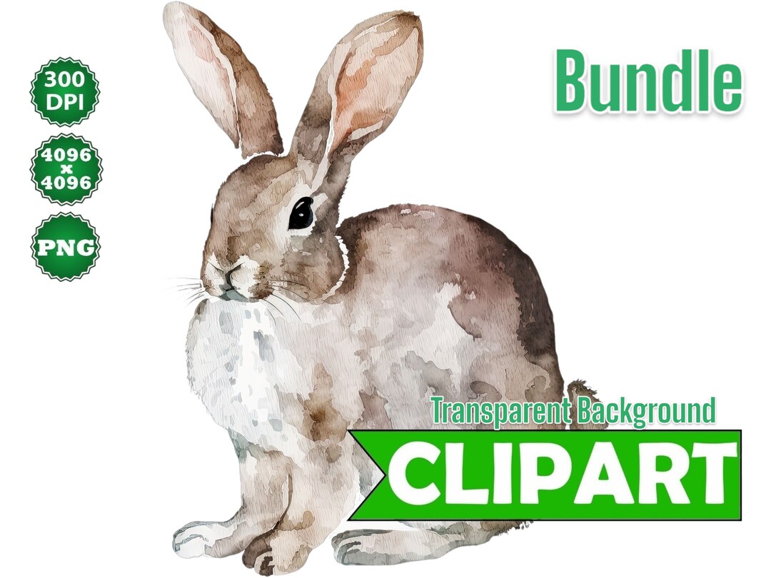 Watercolor Clipart Eastern Cottontail Rabbit Digital Paper - Etsy