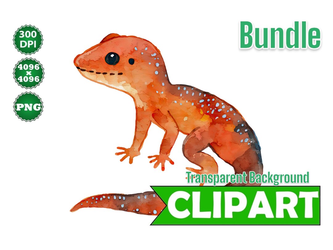 Watercolor Clipart Eastern Newt Digital Paper Craft Scrap - Etsy
