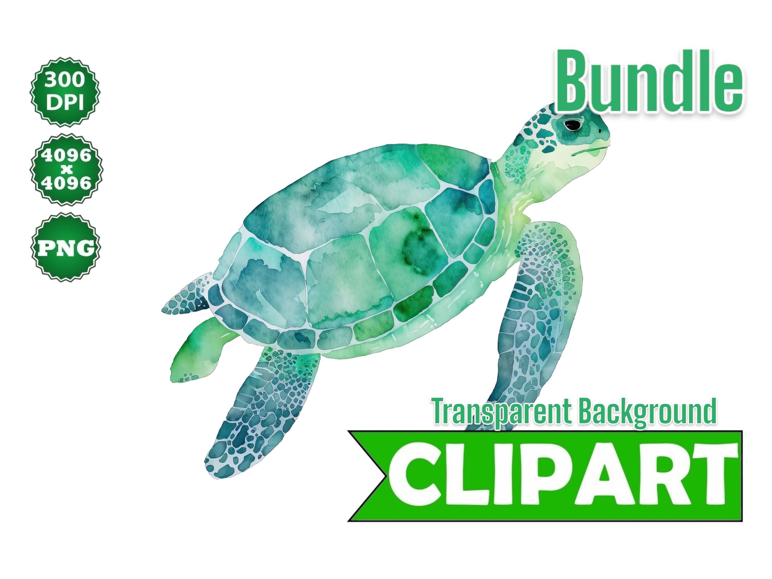 Watercolor Clipart Green Sea Turtle Digital Paper Craft - Etsy