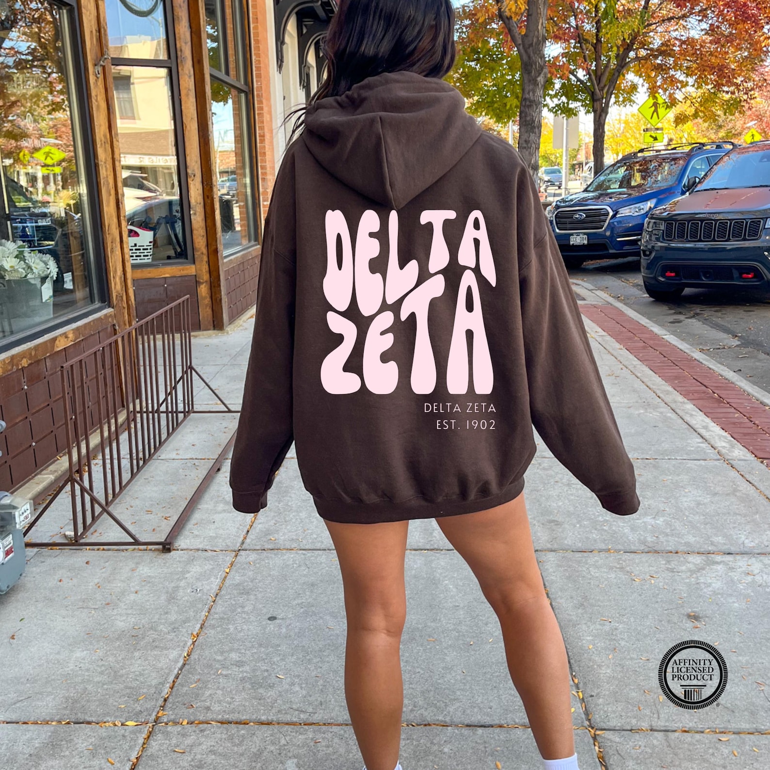 Delta Zeta Puff Letters Hoodie - Sorority Sweatshirt for Delta Zeta ...
