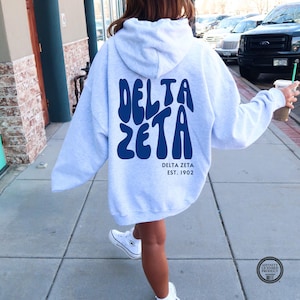 Delta Zeta Puff Letters Hoodie - Sorority Sweatshirt for Delta Zeta ...
