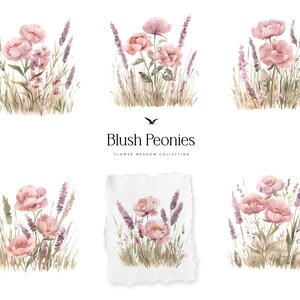 Blush Peonies Meadow Flower Meadow Clipart Floral Border Premade Border ...