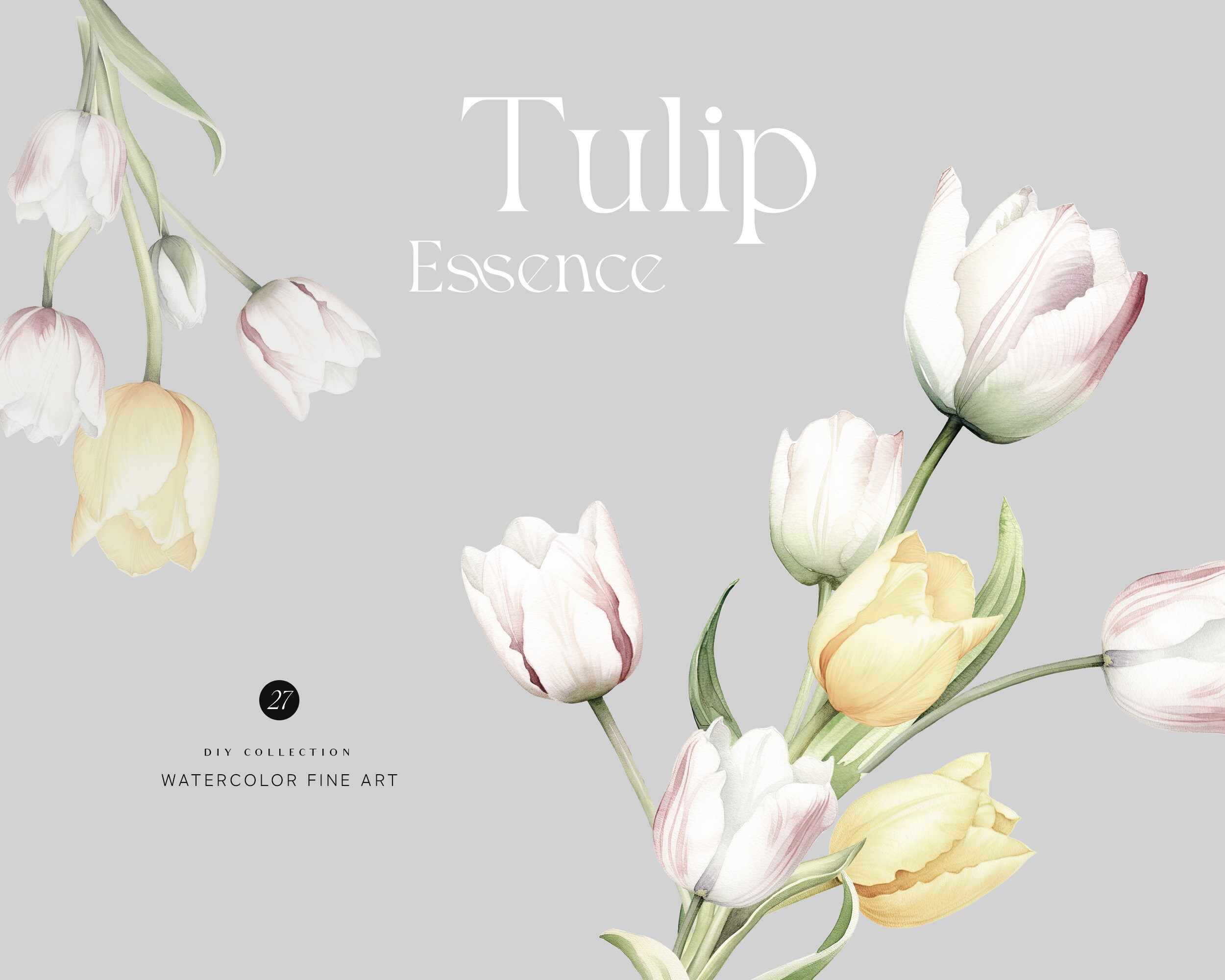 Watercolor Tulip Clipart SET ITEM Tulip Premade Border Tulip Premade ...