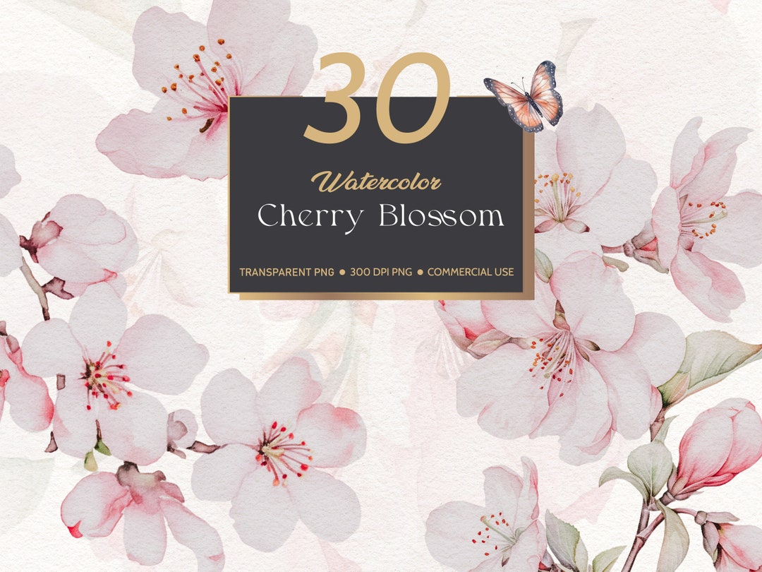 30 PNG Watercolor Cherry Blossom Clipart, Floral Clipart Bundle ...