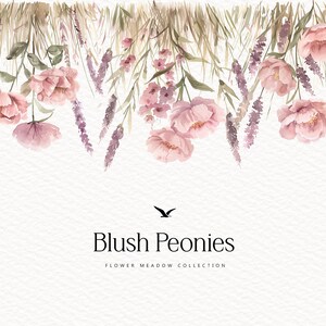 Blush Peonies Meadow Flower Meadow Clipart Floral Border Premade Border ...