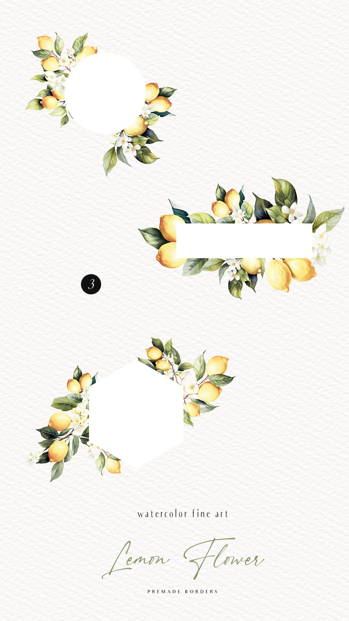 Watercolor Lemon Flower Clipart SET ITEM Lemon Premade Border Lemon ...