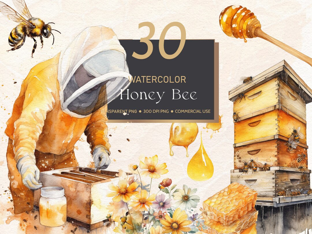 30 Watercolor Honey Bee Clipart, Spring Garden Bee, Honey Drips, PNG ...