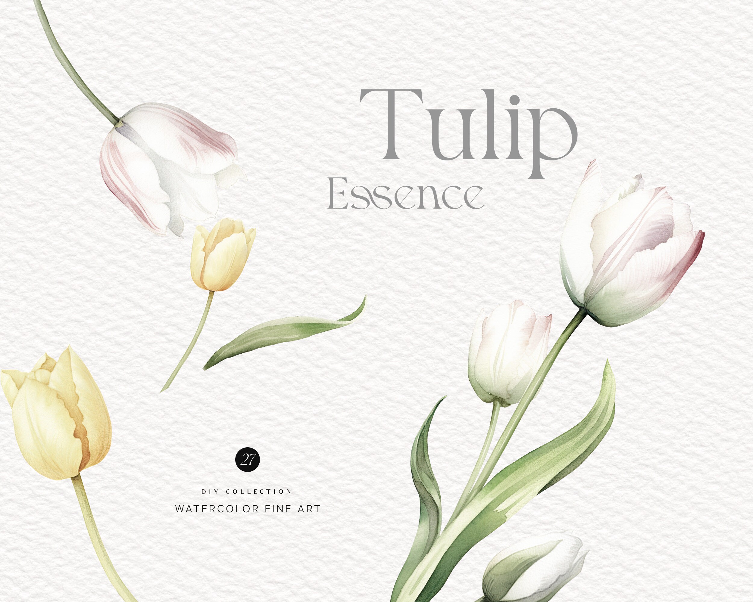 Watercolor Tulip Clipart SET ITEM Tulip Premade Border Tulip Premade ...
