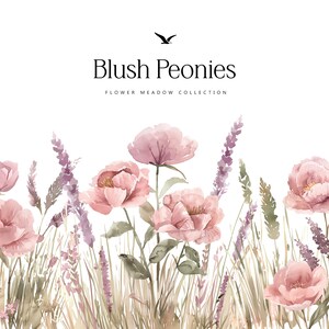 Blush Peonies Meadow Flower Meadow Clipart Floral Border Premade Border ...