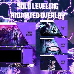 Solo Leveling Animated Overlay | Anime | Twitch | Streaming | Streamer ...