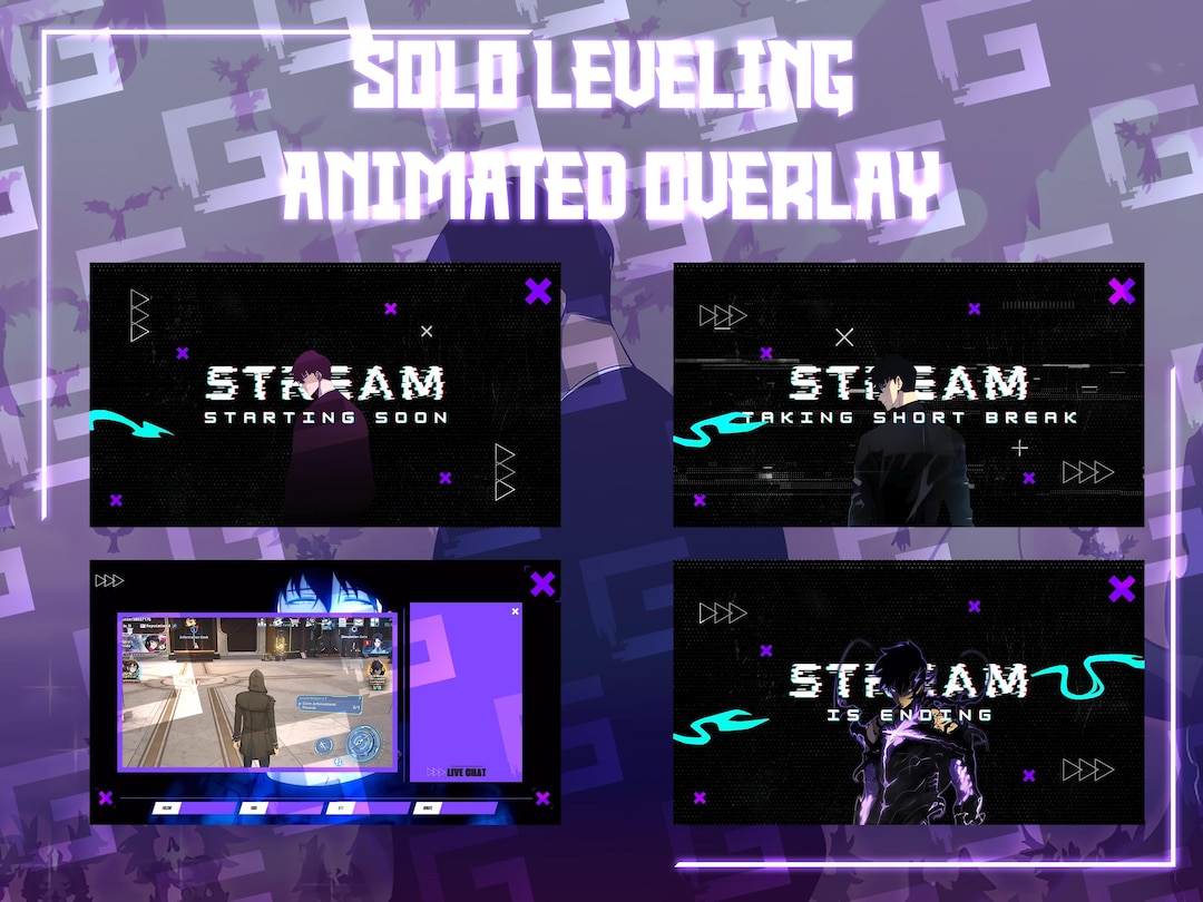Solo Leveling Animated Streaming Overlay | Glitch | Anime | Twitch ...