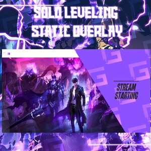 Solo Leveling Static Overlay | Anime | Twitch | Streaming | Streamer ...
