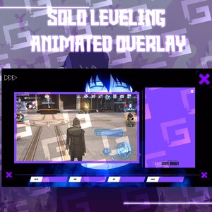Solo Leveling Animated Streaming Overlay | Glitch | Anime | Twitch ...