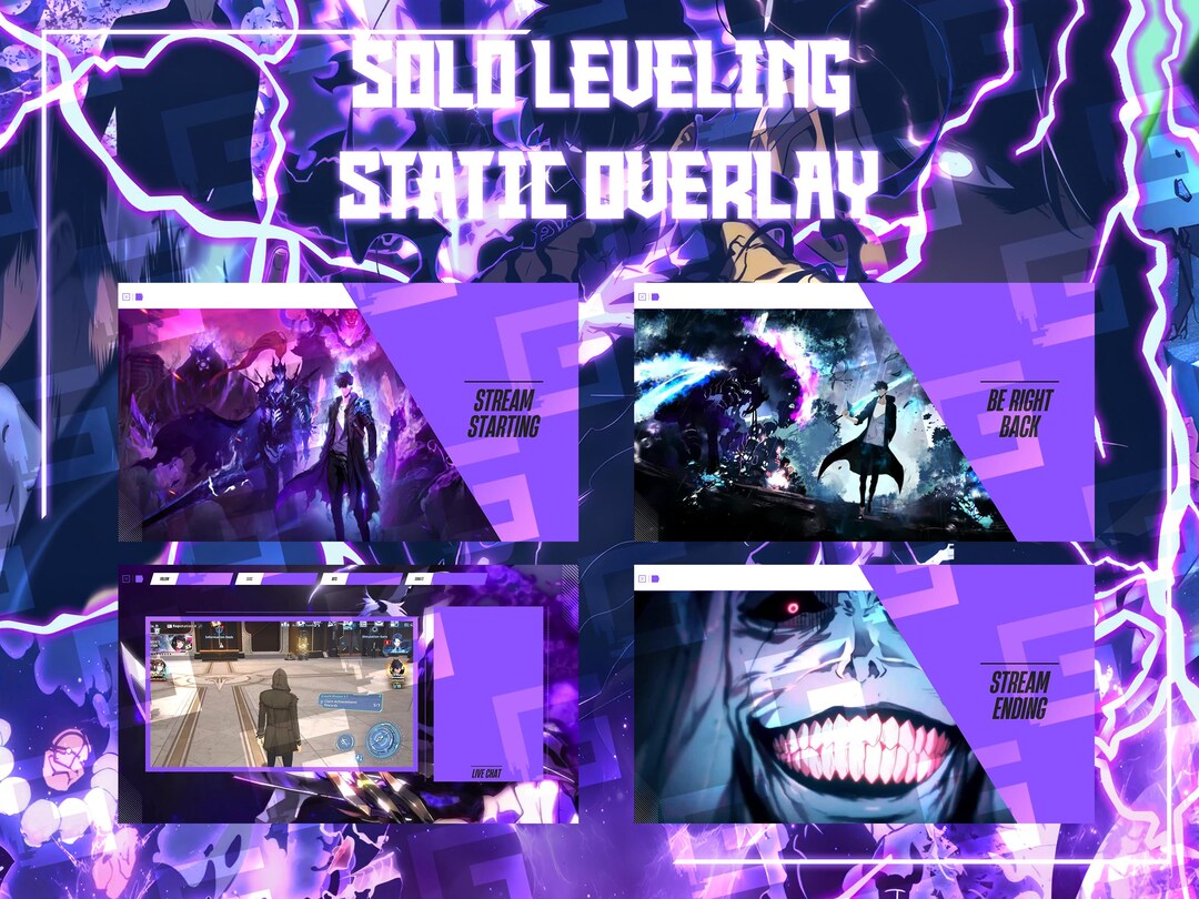 Solo Leveling Static Overlay | Anime | Twitch | Streaming | Streamer ...