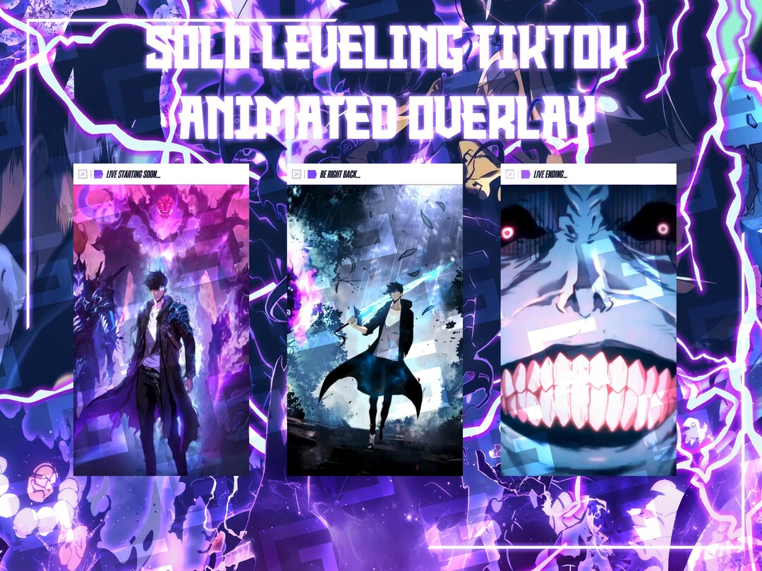 Solo Leveling Animated Tiktok Overlay | Anime | Tiktok | Streaming ...