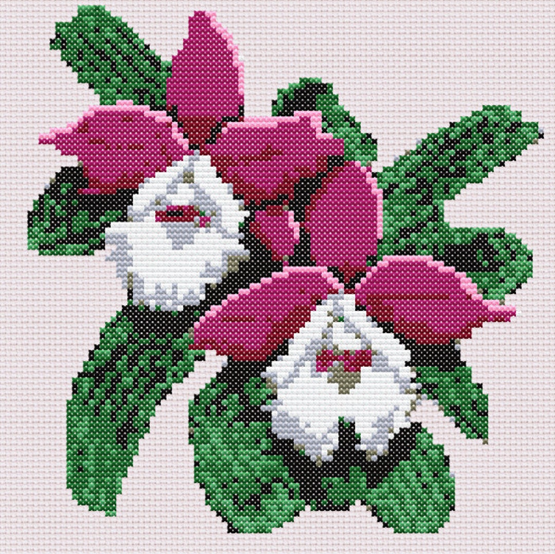Orchid Cross Stitch Pattern, Cattleya - Etsy