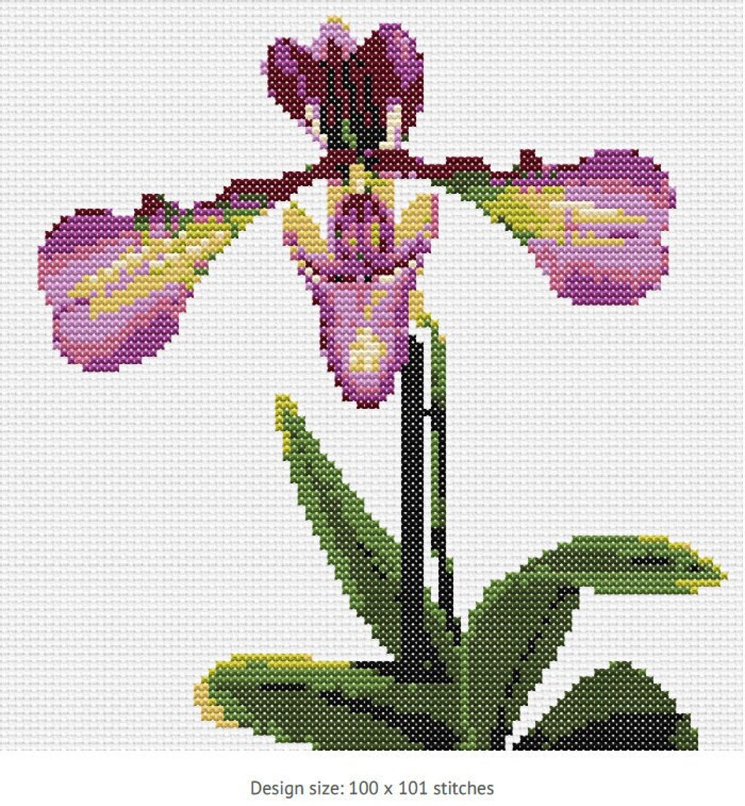 Orchid Cross Stitch Pattern, Slipper Orchid, Paphiopedilum - Etsy