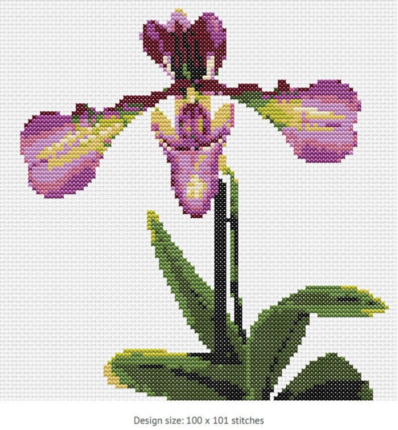 Orchid Cross Stitch Pattern, Slipper Orchid, Paphiopedilum - Etsy